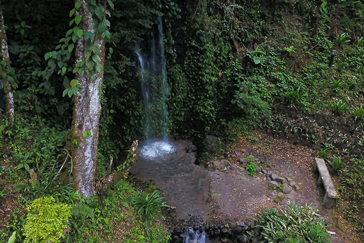 About – Taman Simalem | Hotel & Resort at Lake Toba